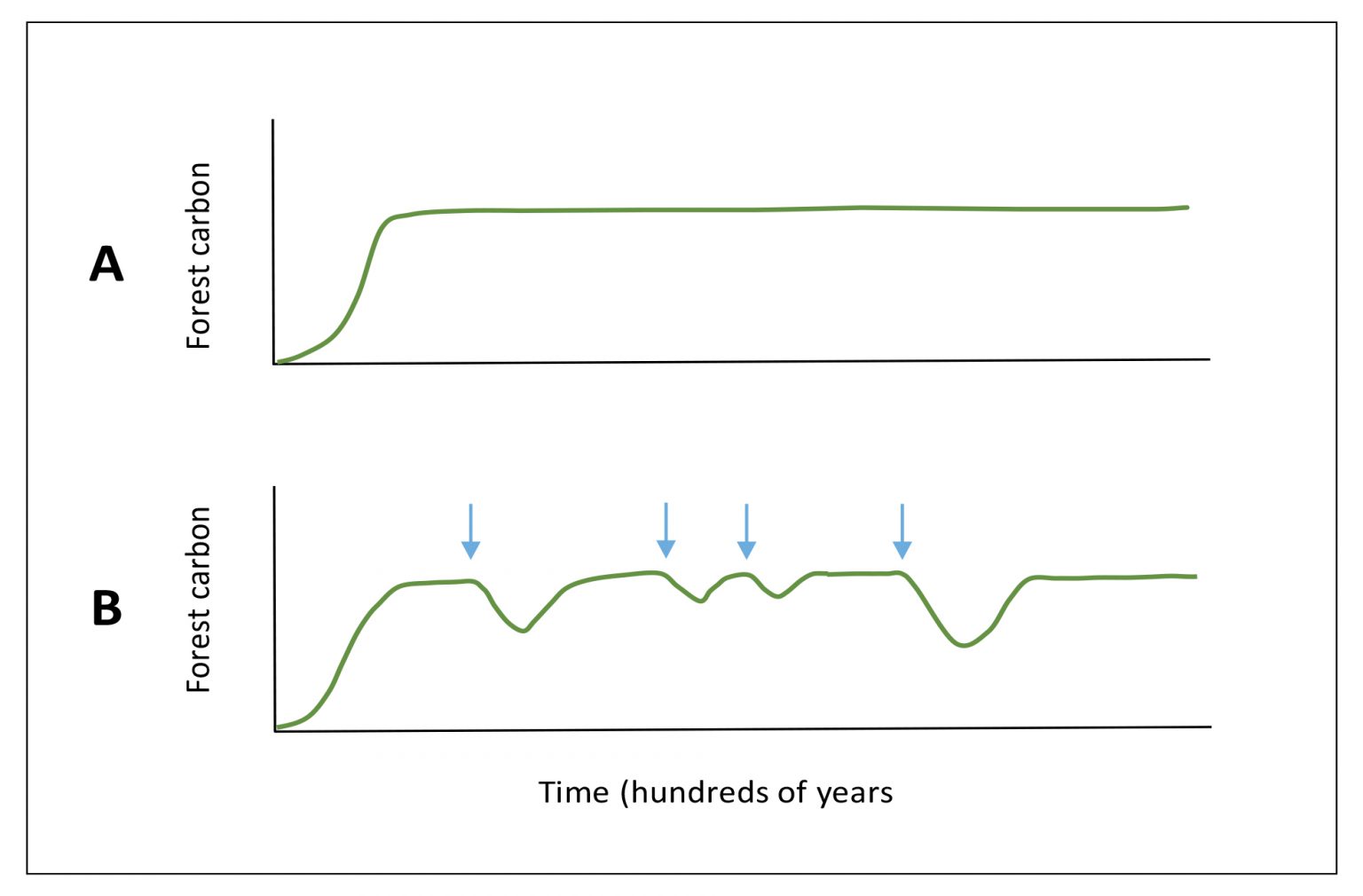 Carbon Dynamics in New Zealand's Native Forests - ESR - Engineers For ...