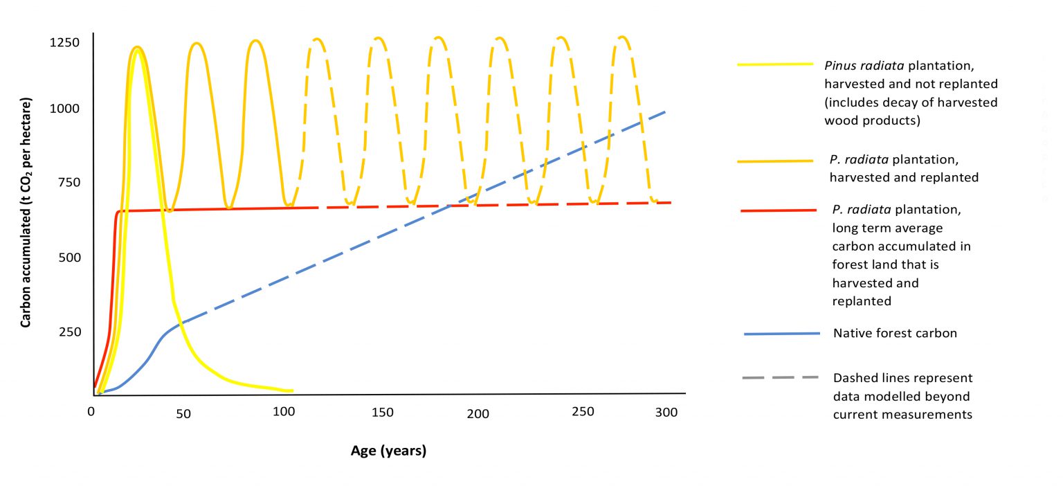 Carbon Dynamics in New Zealand's Native Forests - ESR - Engineers For ...